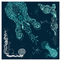 Artist Profile - Shape Of Broad Minds - Pictures