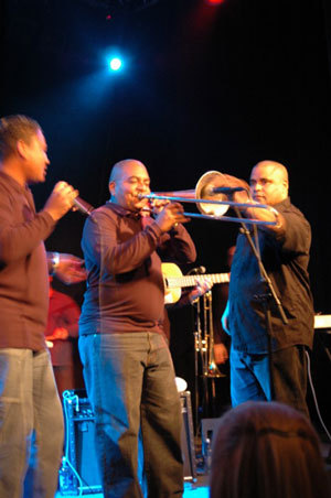 Artist Profile - Orquesta Reve - Pictures