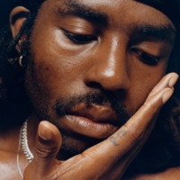 Artist Profile - Blood Orange - Pictures