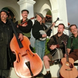 Artist Profile - Black Irish Band - Pictures