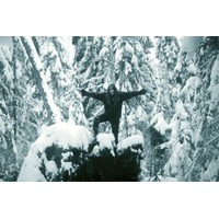 Forest on Jango Radio | Songs, Videos, Bio